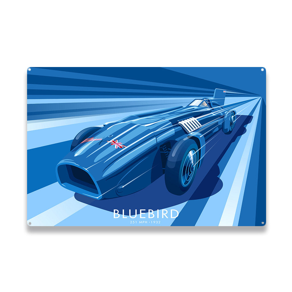 Bluebird Metal Sign – Stephen Millership - The Art of Travel